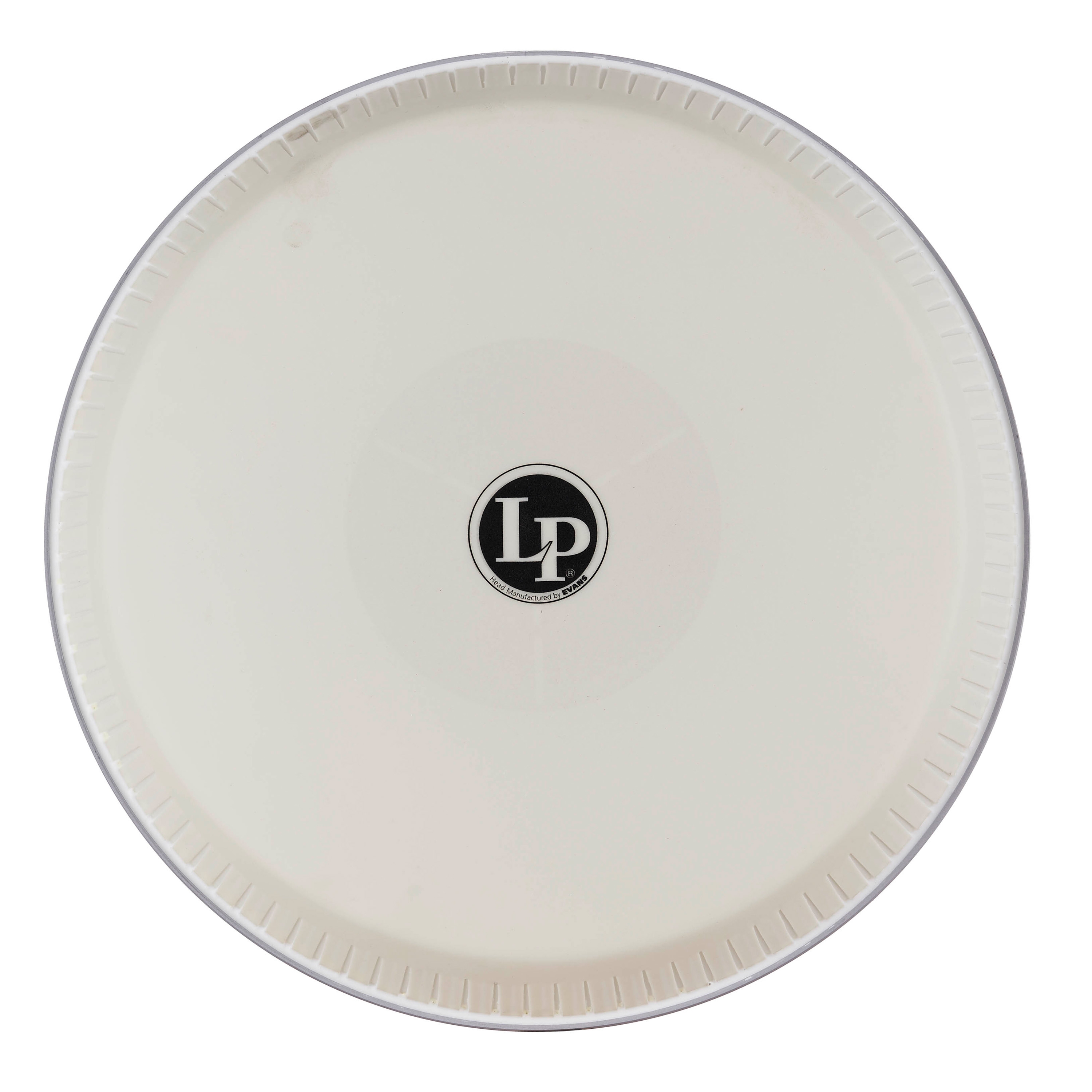 11 Lp Tri-center Quinto Head By Evans - Willis Music Store